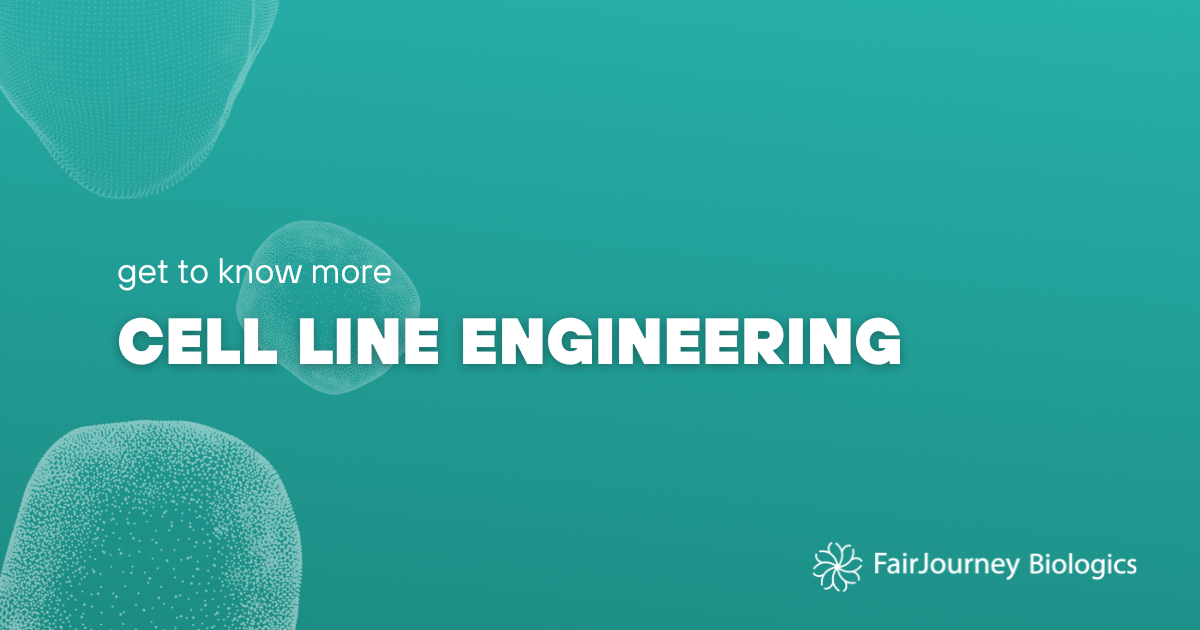 Cell Line Engineering Services | FairJourney Biologics