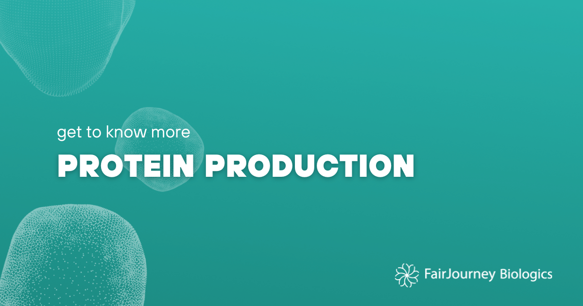 Limited-Time Offer | Protein Production Services