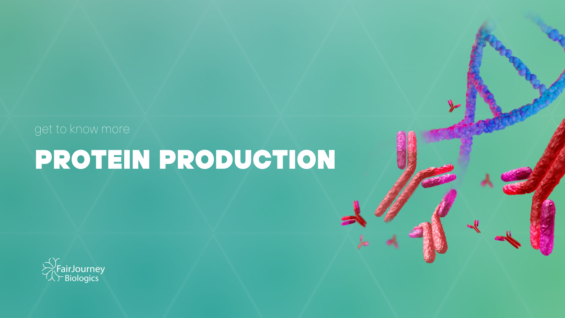 Protein Production FairJourney Biologics