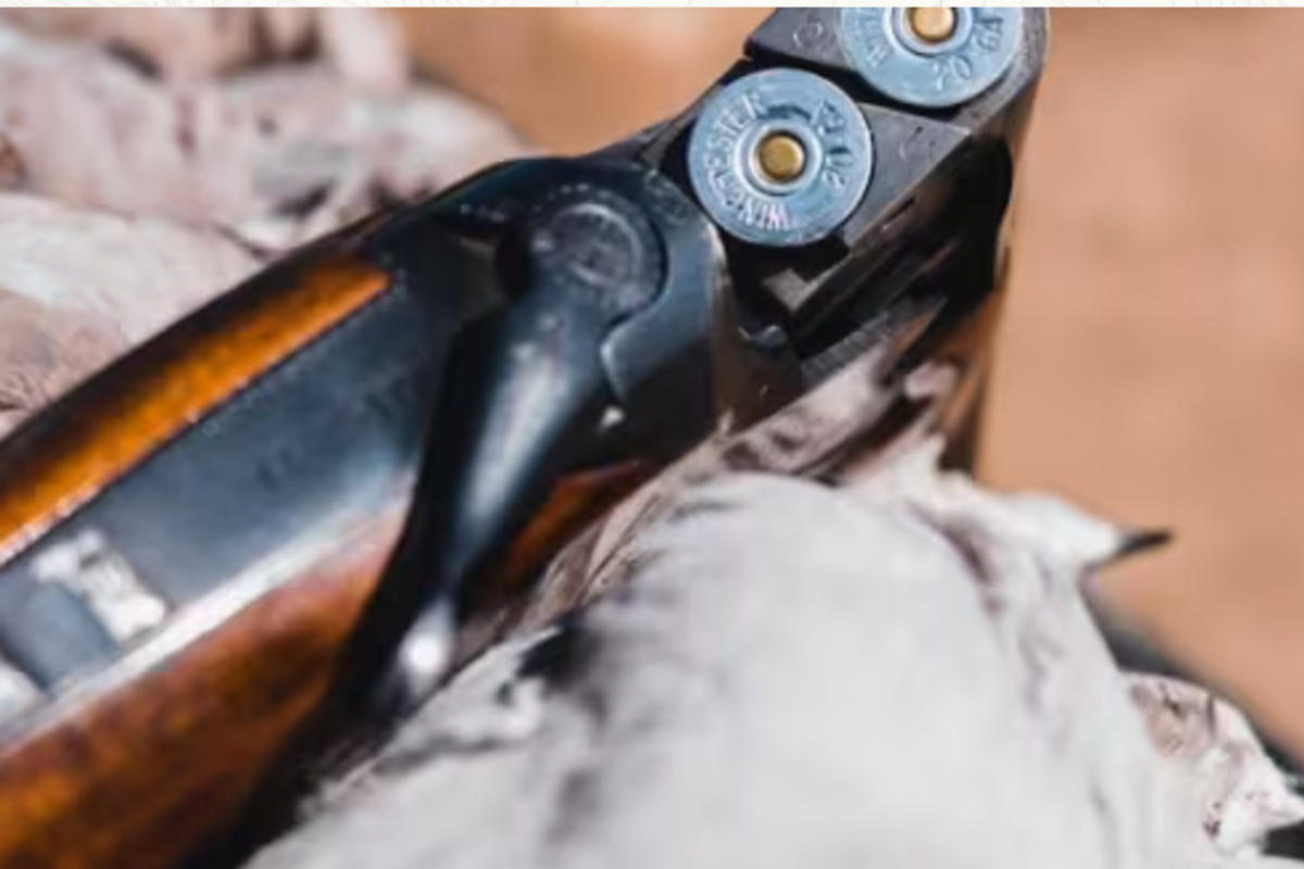 Dove Hunting Gear Essentials for a Successful Hunt | Infinite Outdoors