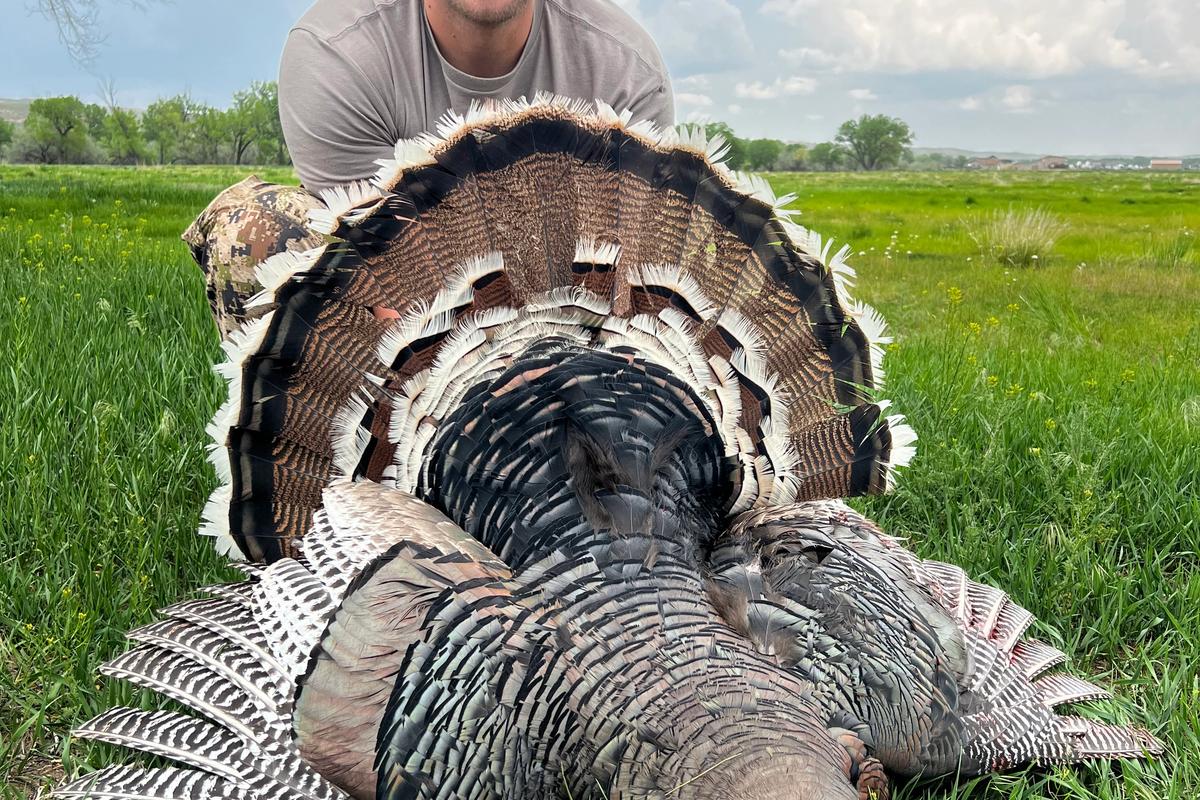 Turkey Hunting 101: Gear and Strategies for Success | Infinite Outdoors