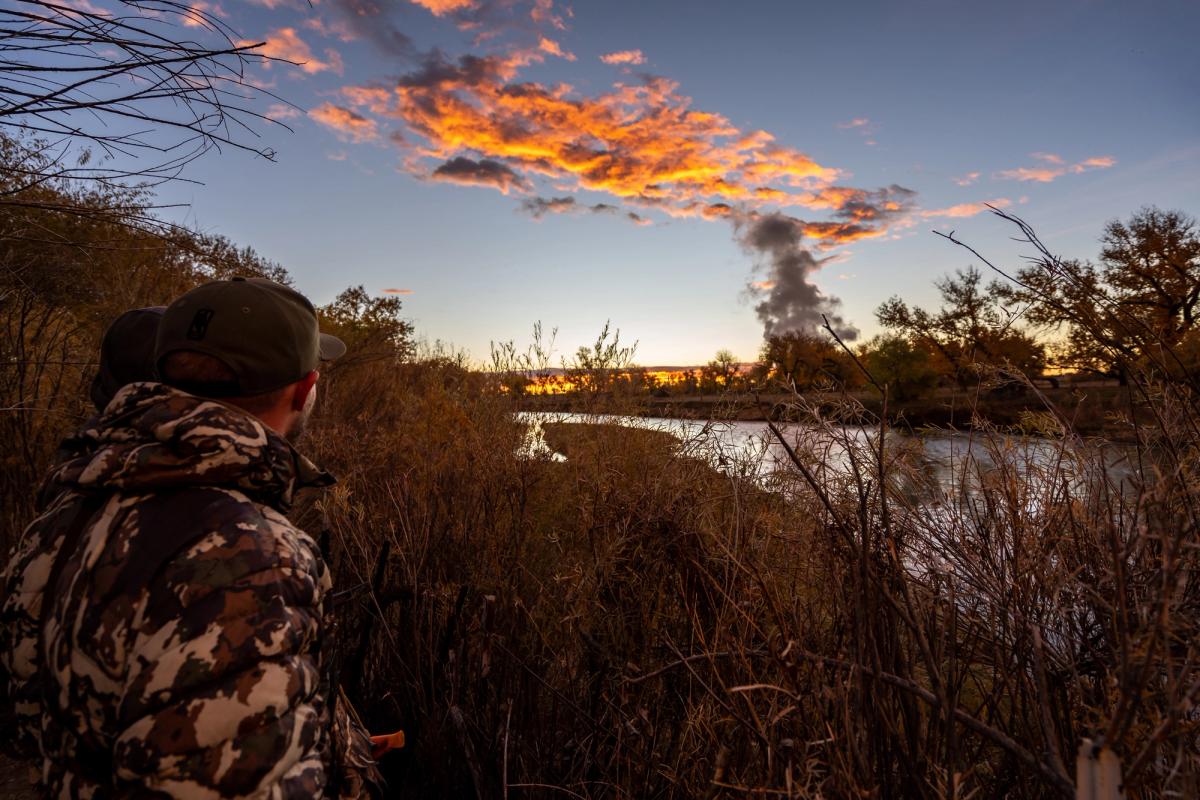 Waterfowl Habitat Management: Building the Perfect Hunting Grounds ...