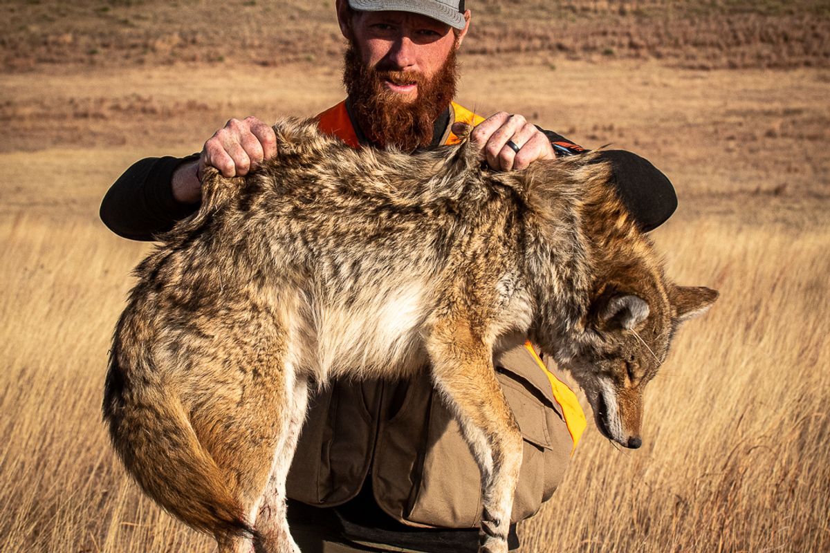 Spring Predator Control Helps Support Conservation | Infinite Outdoors