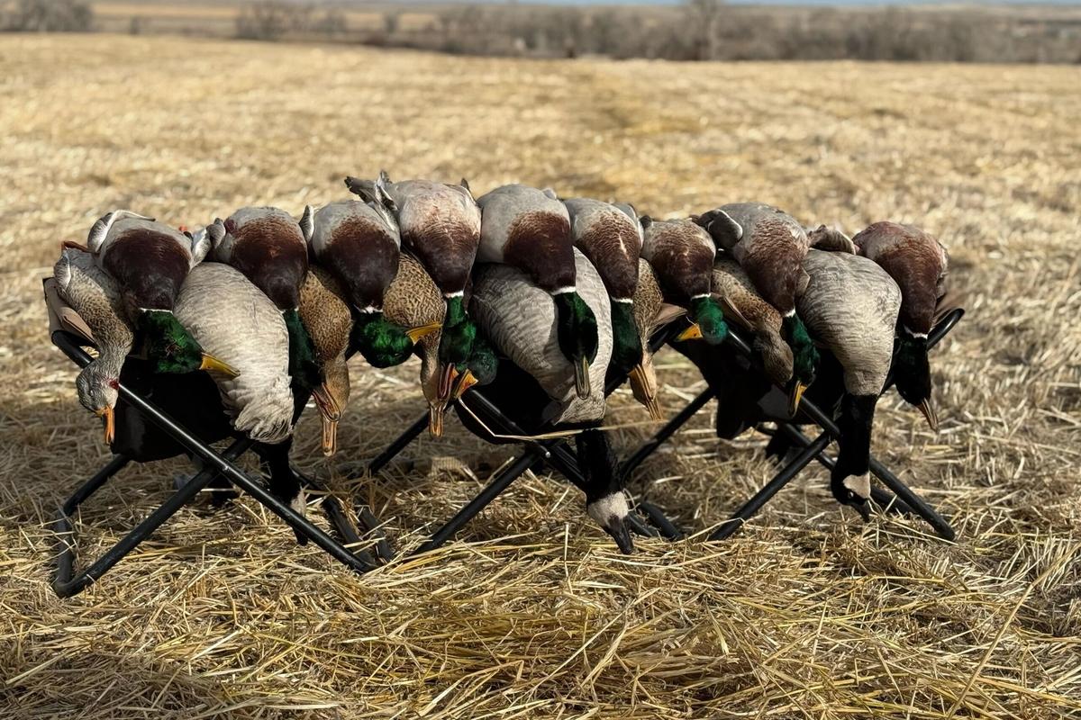 How to Find Private Land to Duck Hunt & How to Choose Your Spot ...