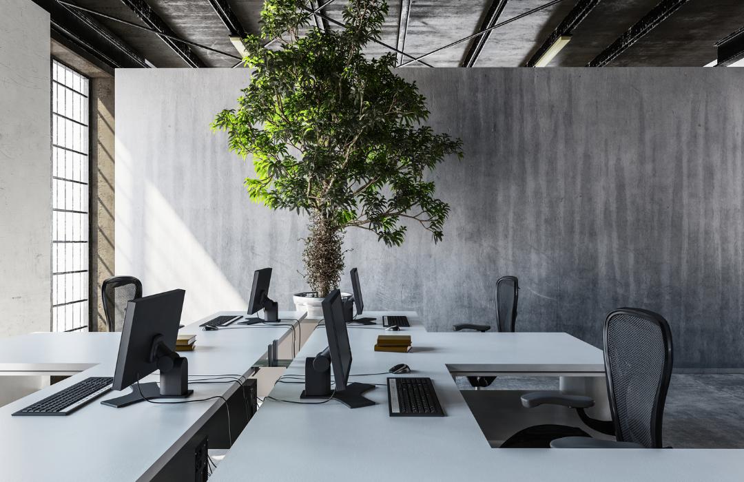 ISO 45003: For a psychologically safe and healthy workplace | MyMynd Blog