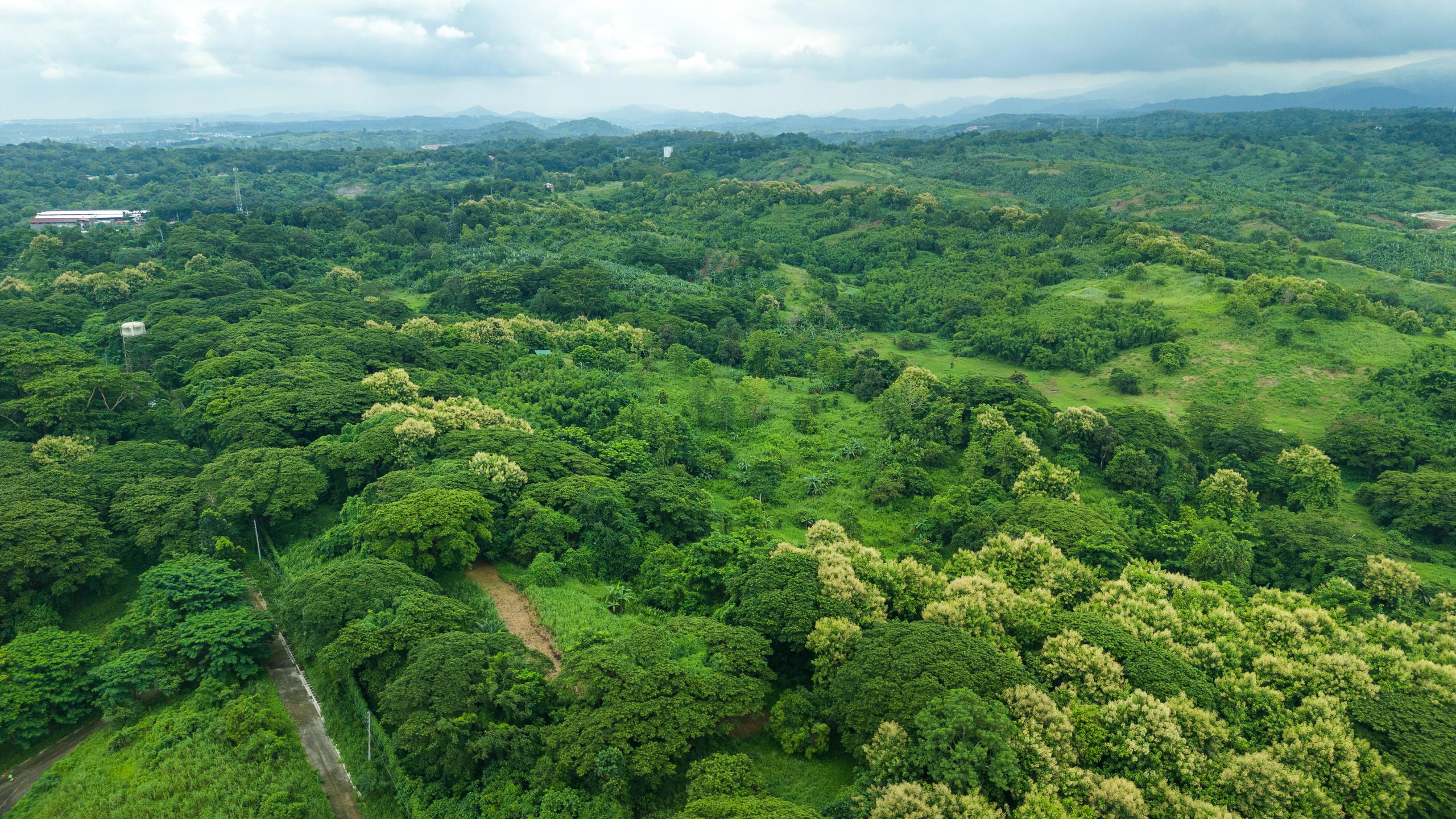 Altaraza Estates From Ayala Land In San Jose del Monte