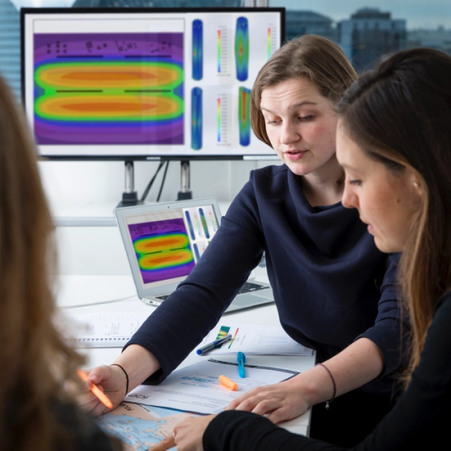 Your mentor and graduate community