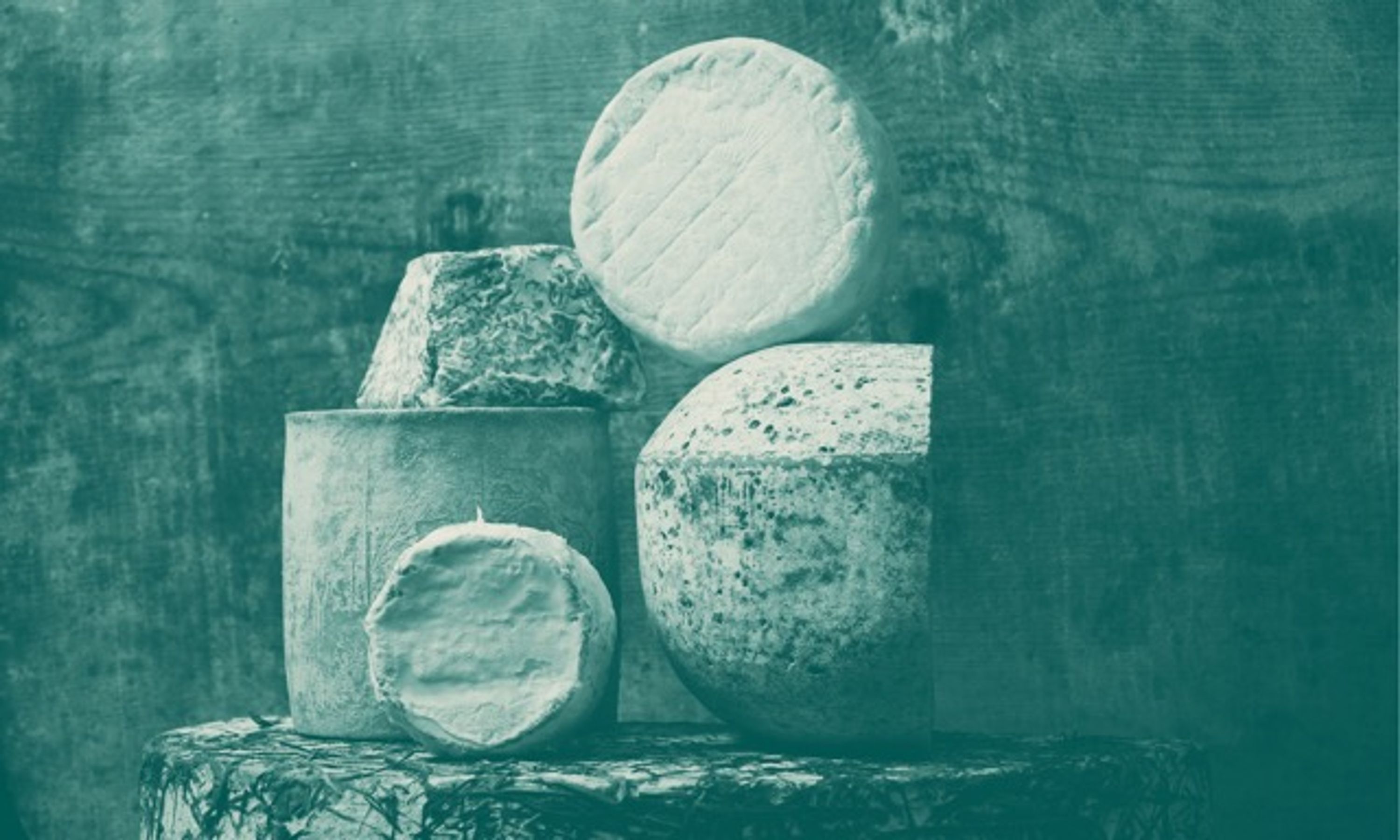 SPITFIRE Cheese & Sundry