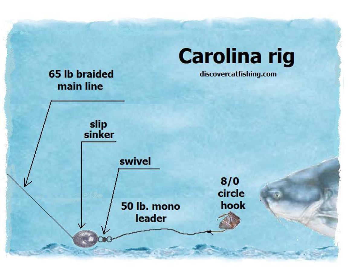 The 3 Catfish Rigs You Need To Know