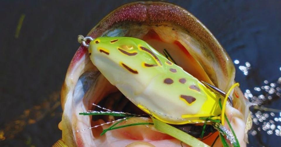 Karl's Fishing Blog | Tips, Tricks & More | Karl's Bait & Tackle ...