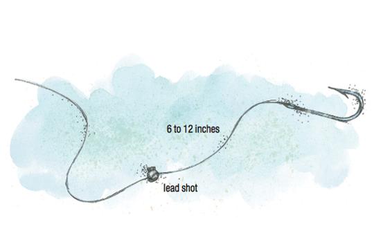 The 3 Easiest Set-Ups For Bottom Rigging Live Bait