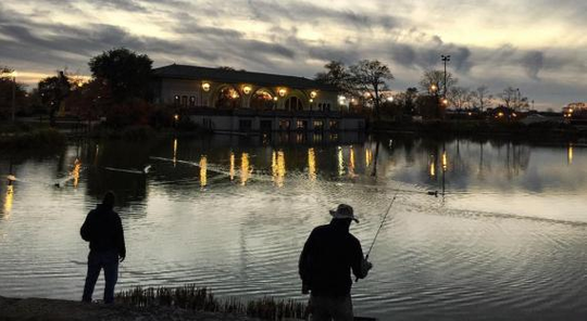 Fishing In Chicago: 8 Places To Catch A Fish Inside The City