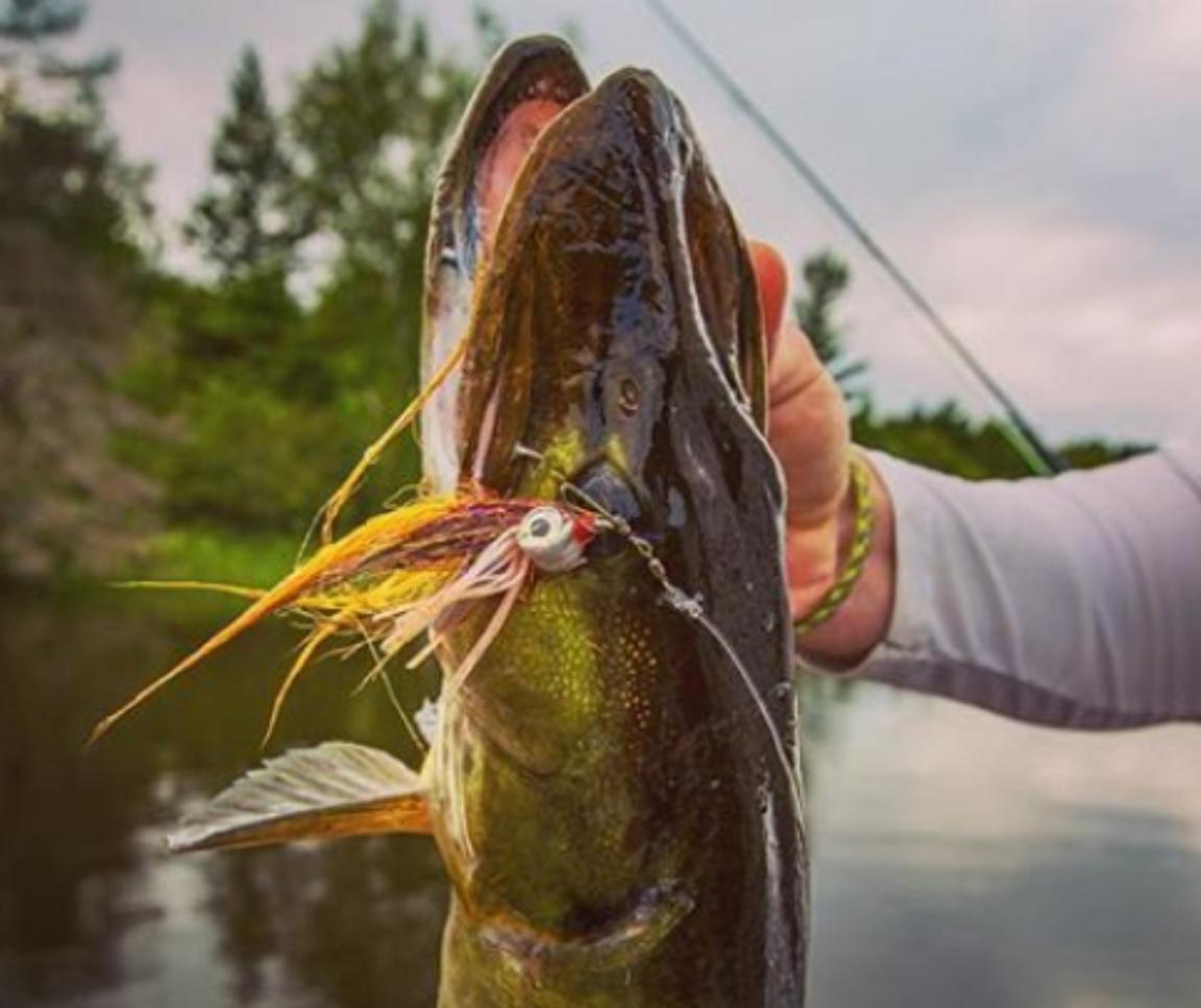 Musky Fly Fishing 101: How To Catch Musky On The Fly