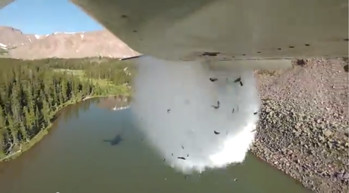 The Shocking Fish-Stocking Method You Must See To Believe