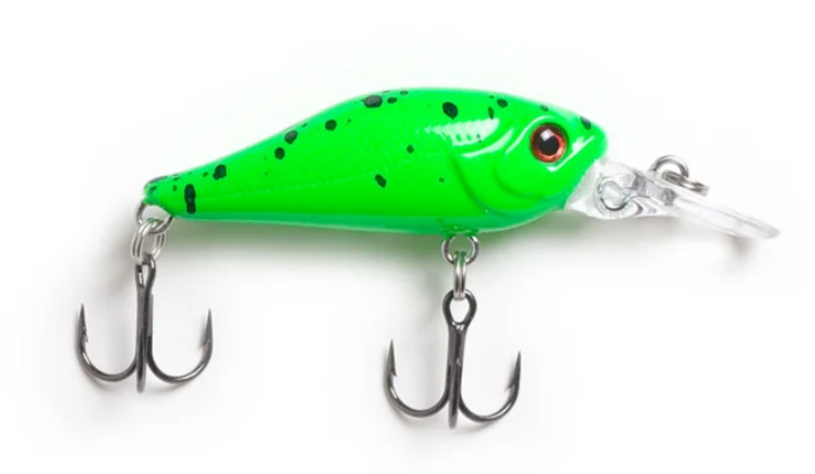 7 Trout Lures You Can Rely On All Year