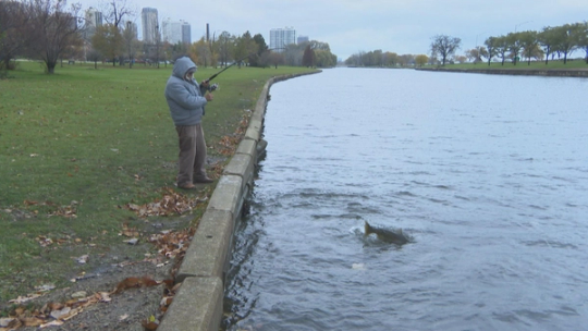 Fishing In Chicago: 8 Places To Catch A Fish Inside The City