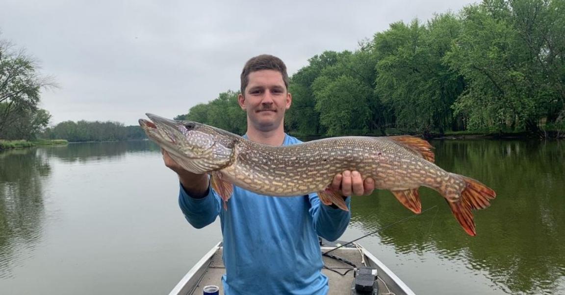 When Do Fish Spawn In The Spring? (9 Species Covered)