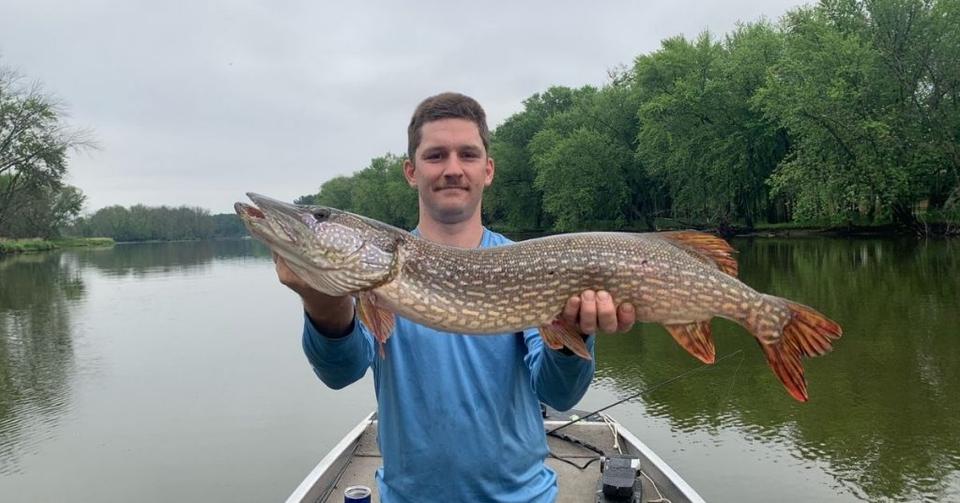 When Do Fish Spawn In The Spring? (9 Species Covered)