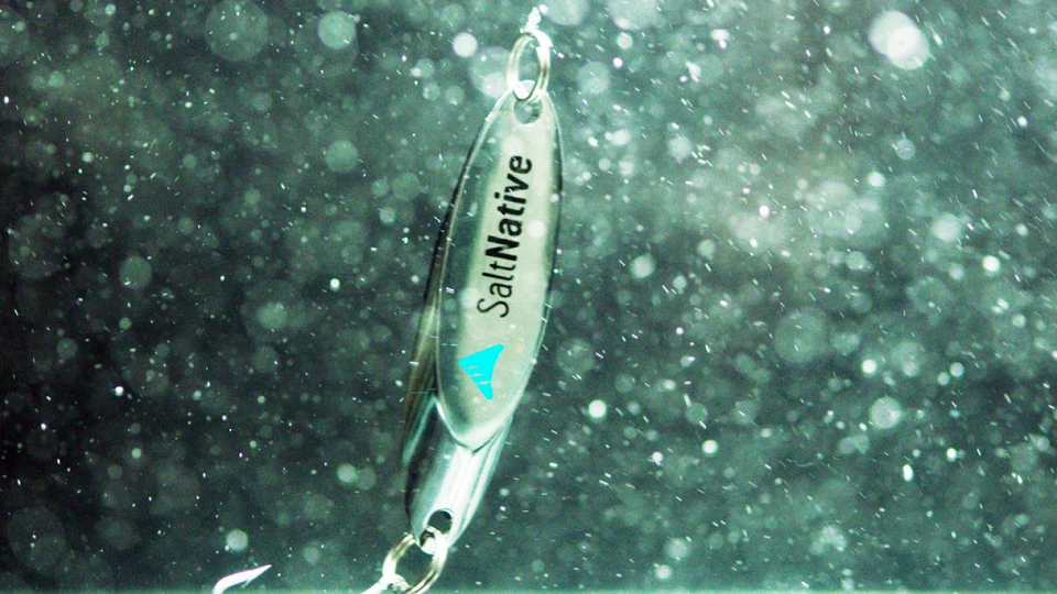 Saltwater Fishing Spoons: 4 Tips Every Inshore Angler Needs To Know