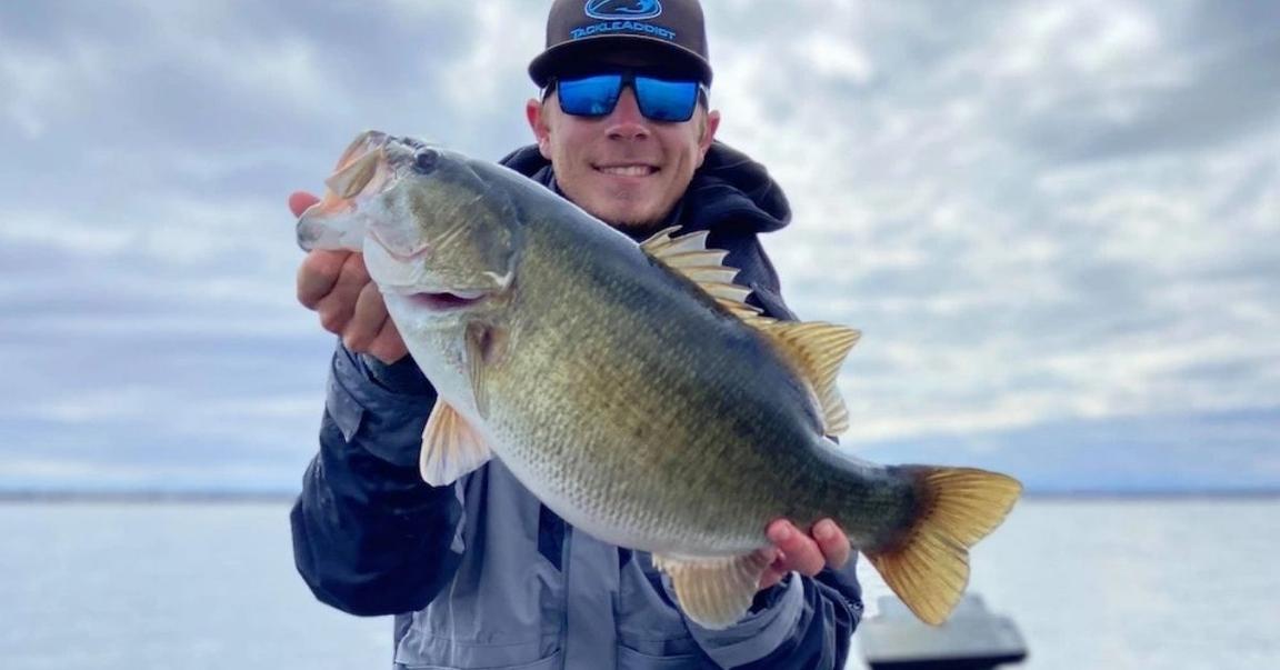 The Meanmouth Bass All About One Rare Hybrid Species