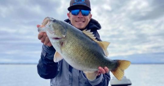 The Meanmouth Bass All About One Rare Hybrid Species