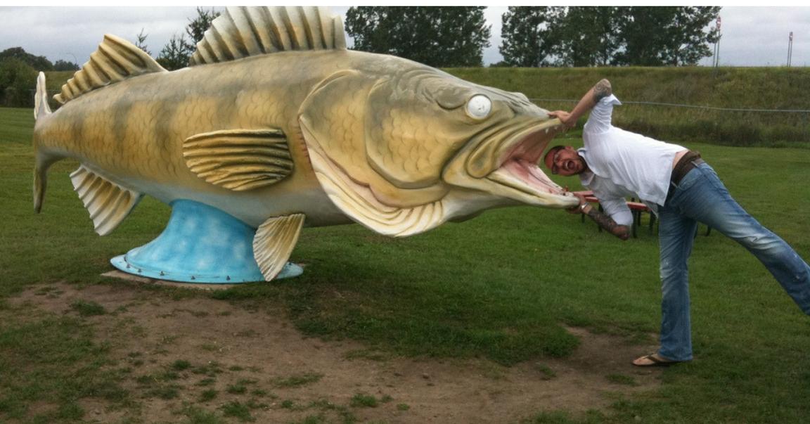 Walleye Fishing 101: How To Fish For Walleye Like A Pro