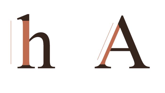 What is Type Anatomy?