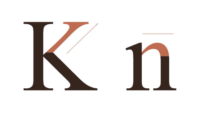 What is Type Anatomy?