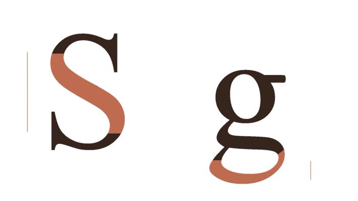 What is Type Anatomy?