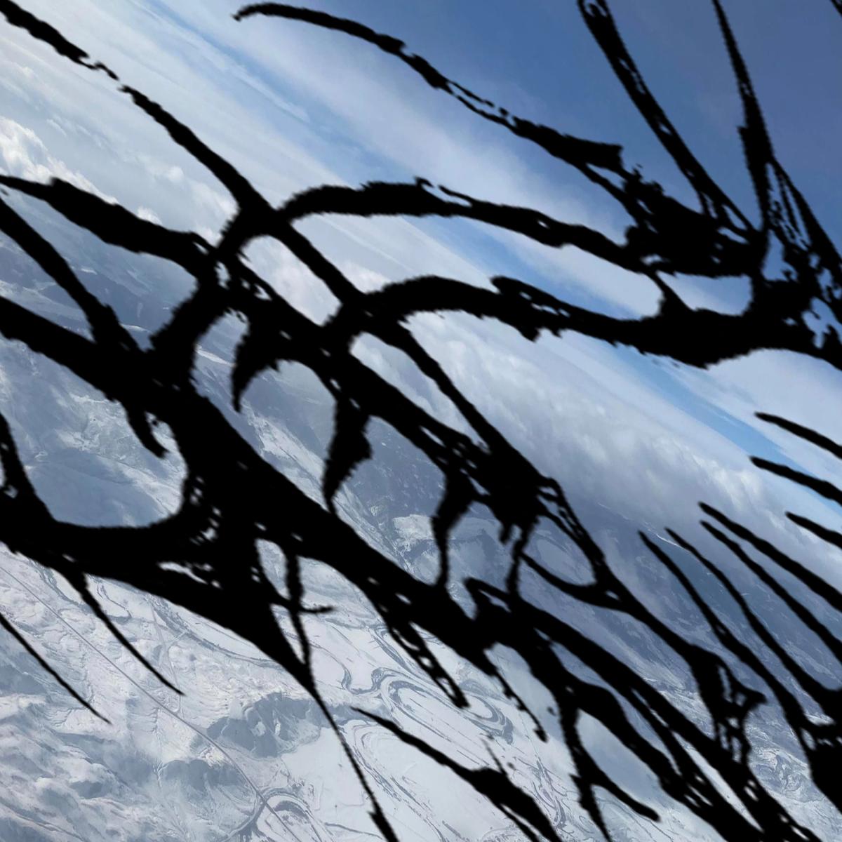 Releases | Surf Gang Records