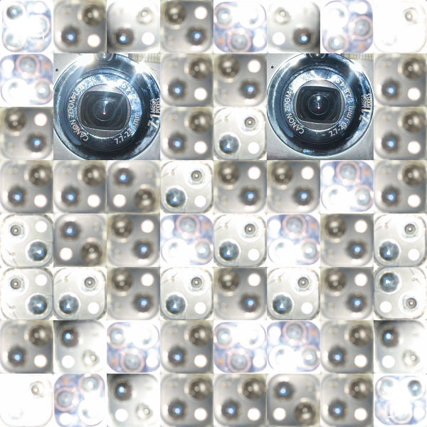 Releases | Surf Gang Records