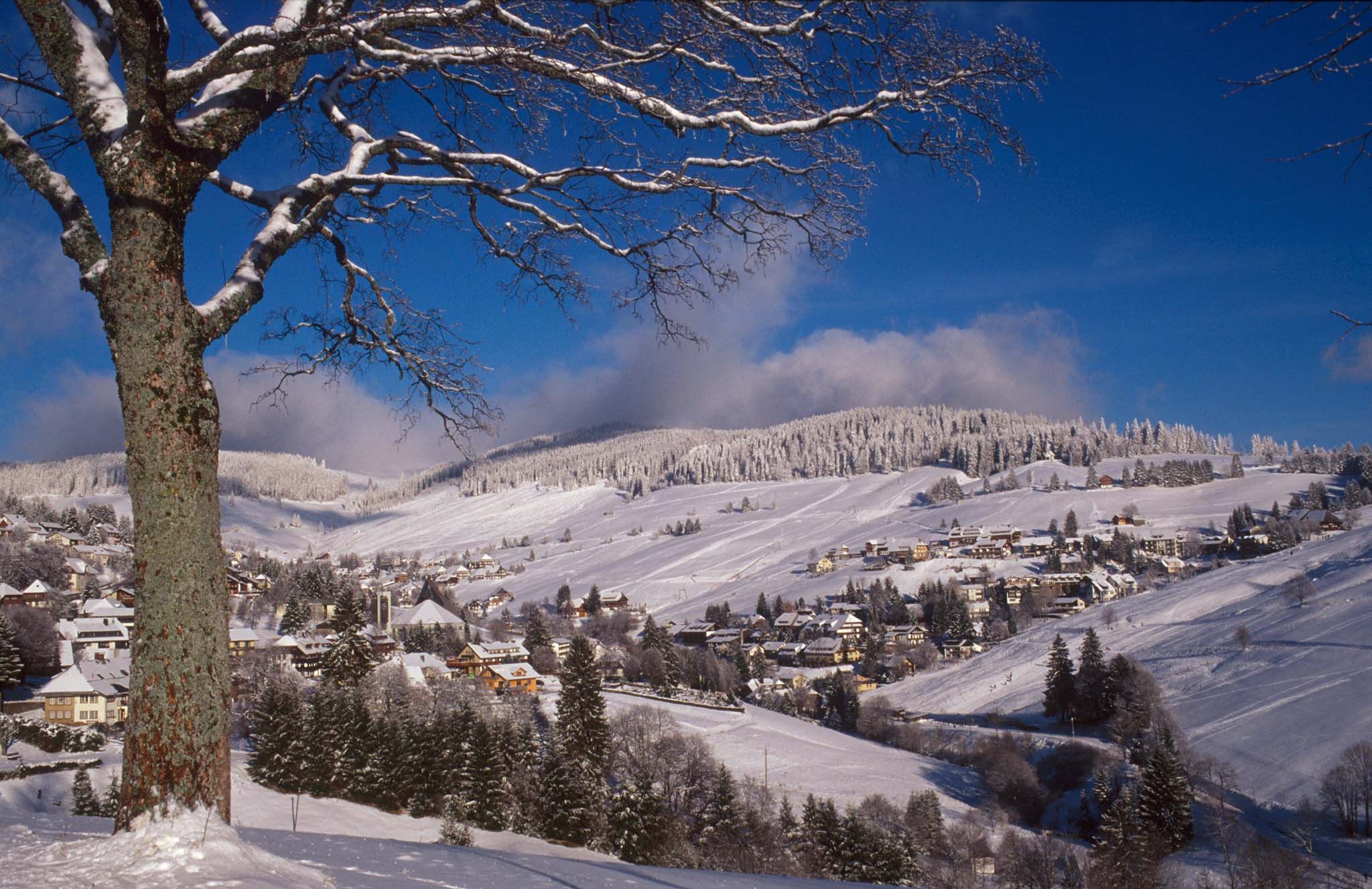 Todtnauberg Trail Map | Ski Runs & Piste Map - 2025 - 2026 | SnowStash