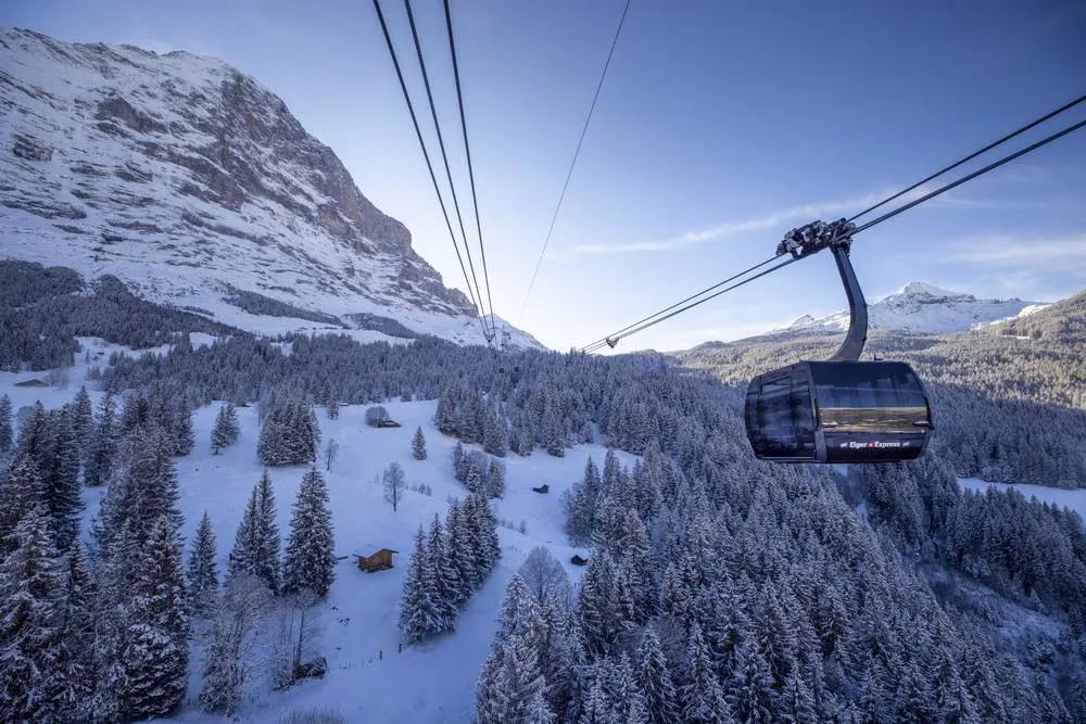 Grindelwald Trail Map | Ski Runs & Piste Map - 2025 - 2026 | SnowStash