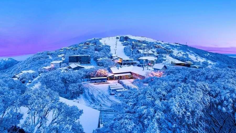 Mt Buller Trail Map | Ski Runs & Piste Map - 2026 | SnowStash