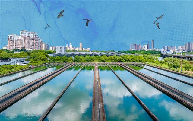 How to future-proof water treatment plants: Transitioning to a 50-year ...