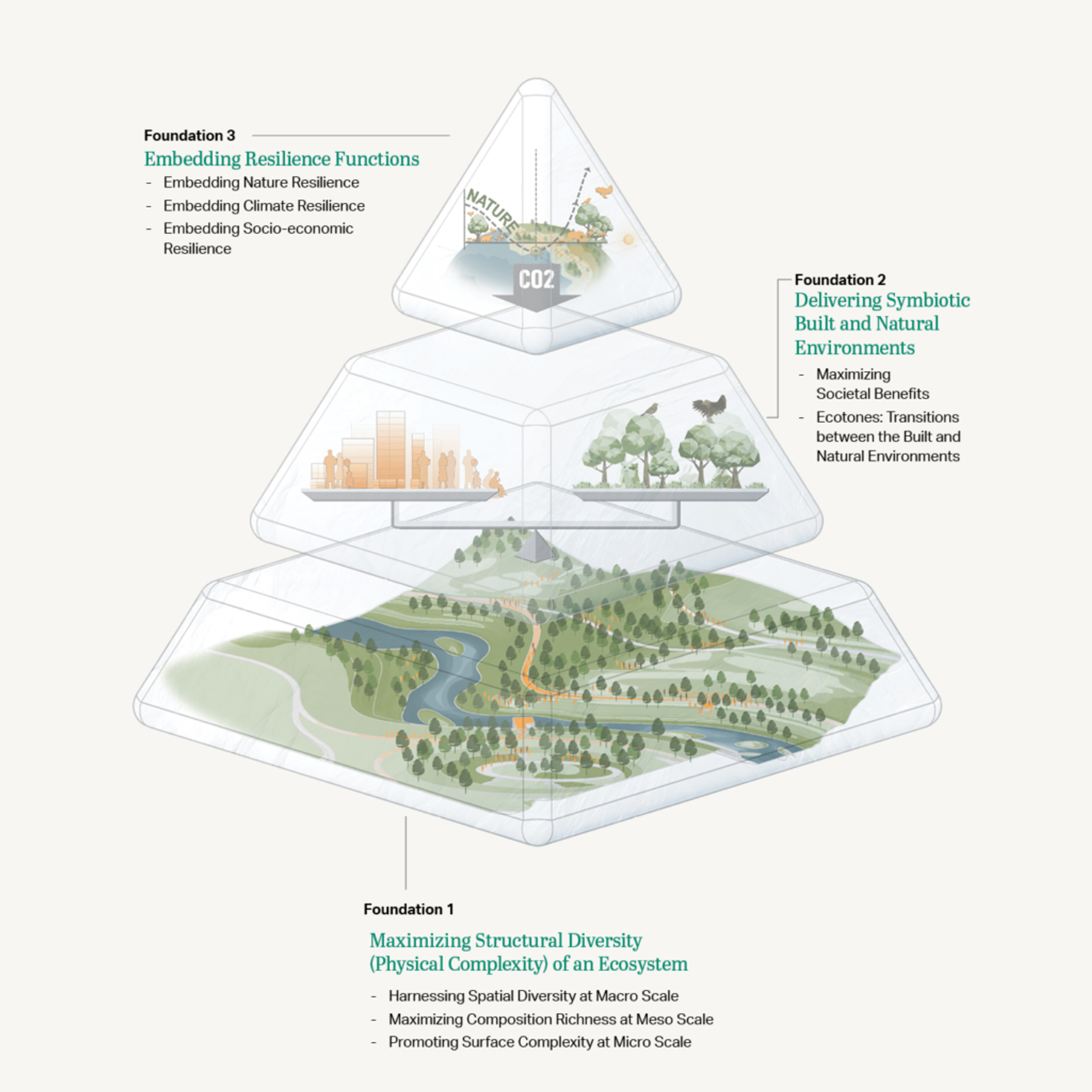 High-performance ecosystems: The cornerstone of nature | AECOM Insights