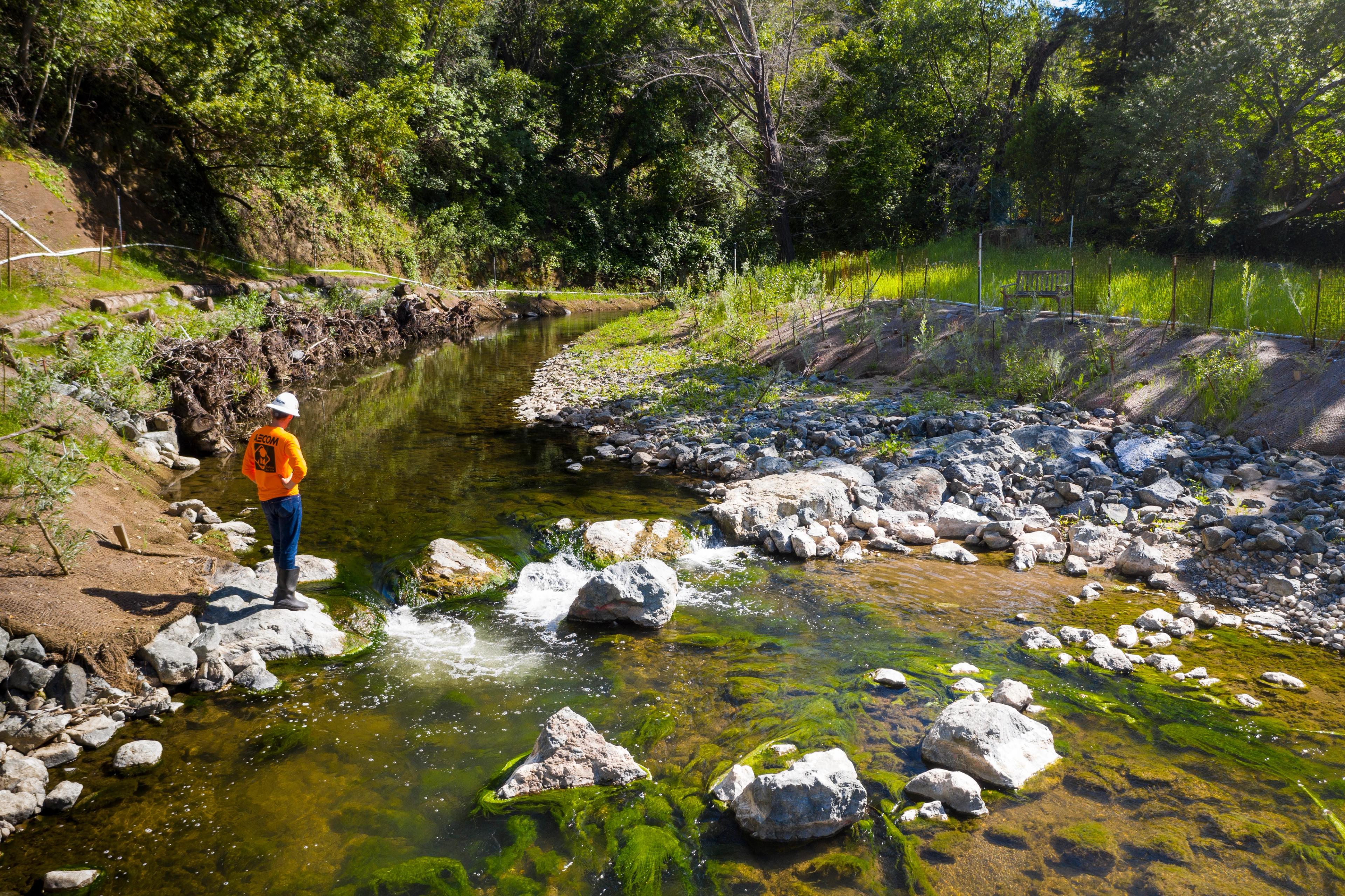 High-performance ecosystems: The cornerstone of nature | AECOM Insights