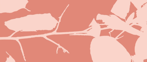 EVE Restaurant, Bar and Café | Ember Locke, Kensington, London