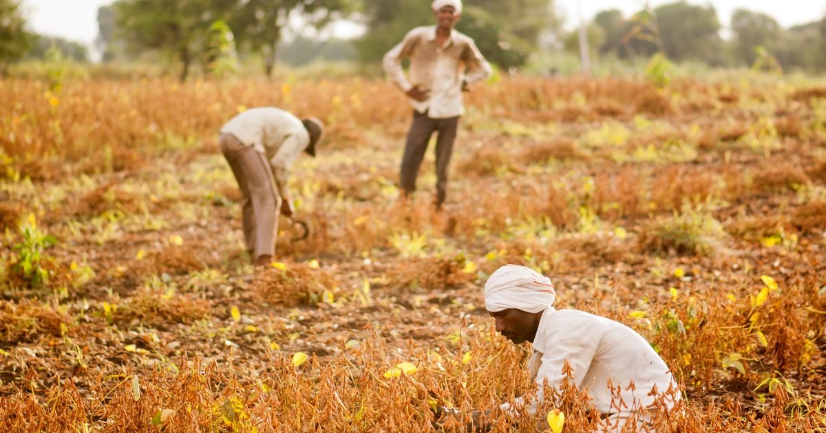 Agricultural Research and Development · Giving What We Can
