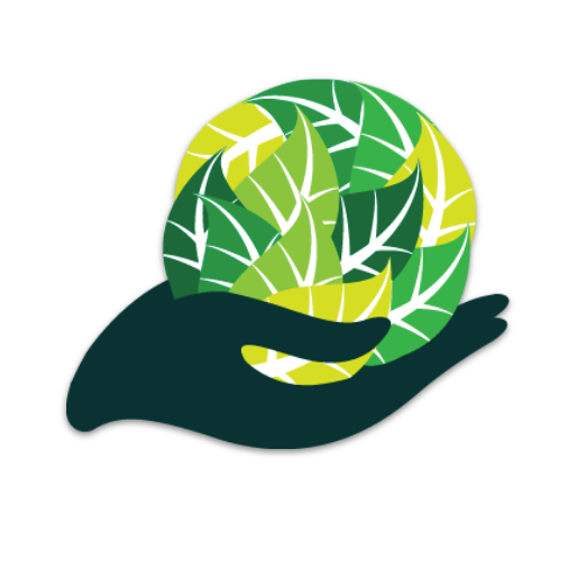 Giving Green Fund · Giving What We Can