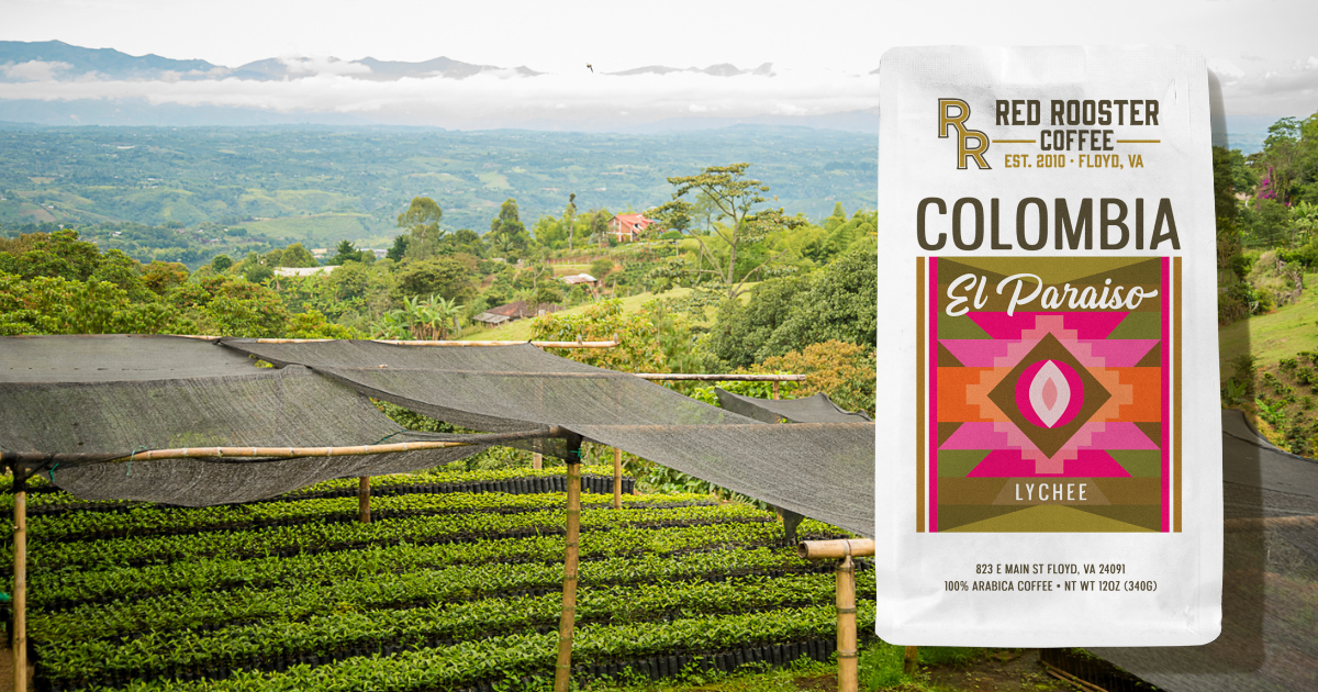 Colombia El Paraiso Lychee Light Roast Single Origin Coffee