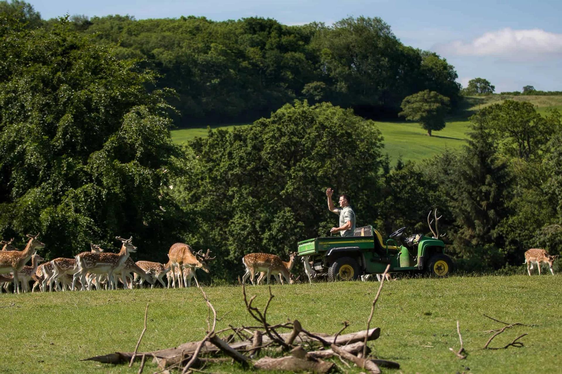 Good Hotel Guide - Independent hotel reviews in UK and worldwide