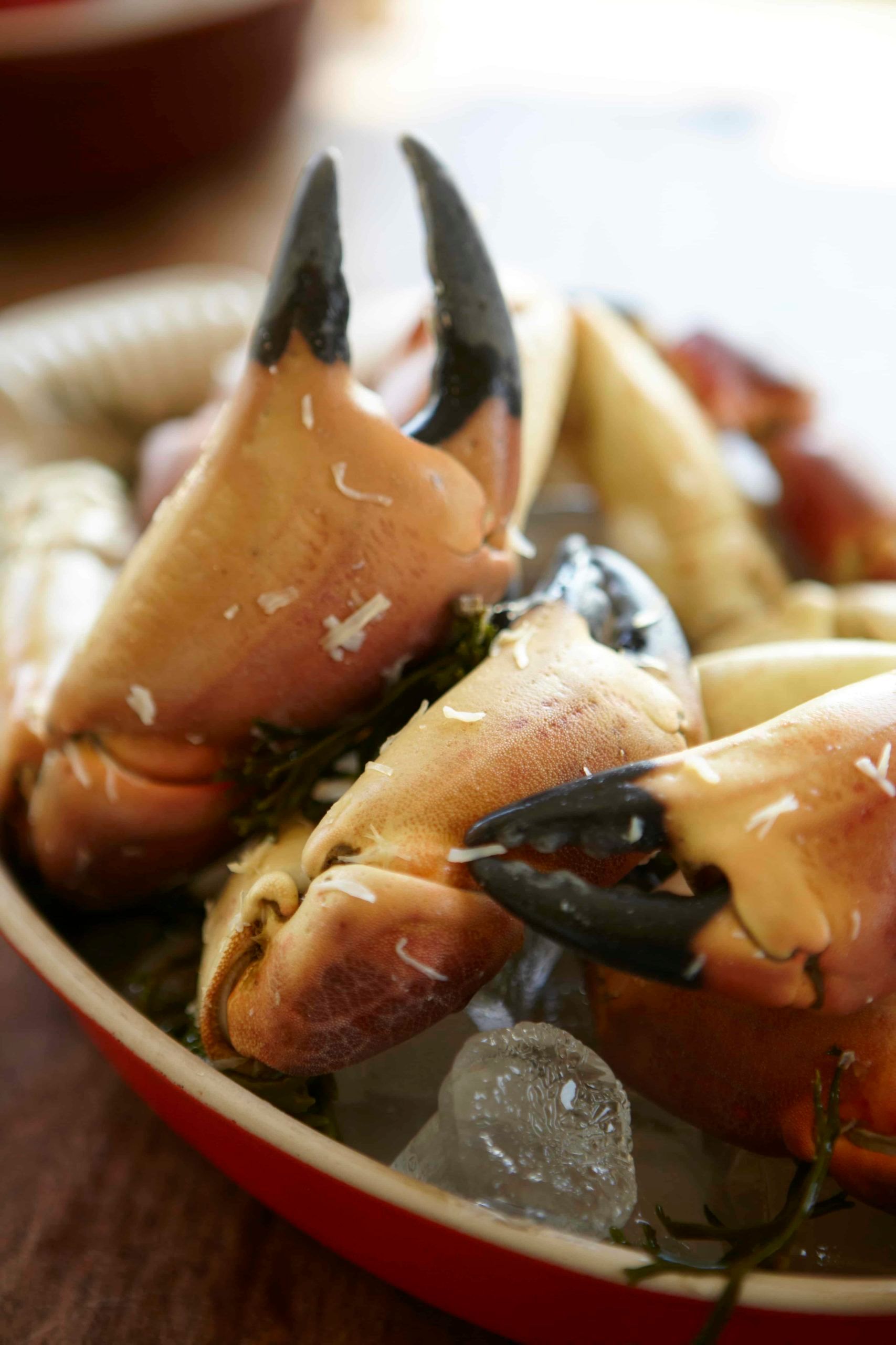 Best gastro pubs with rooms in Cornwall - Good Hotel Guide