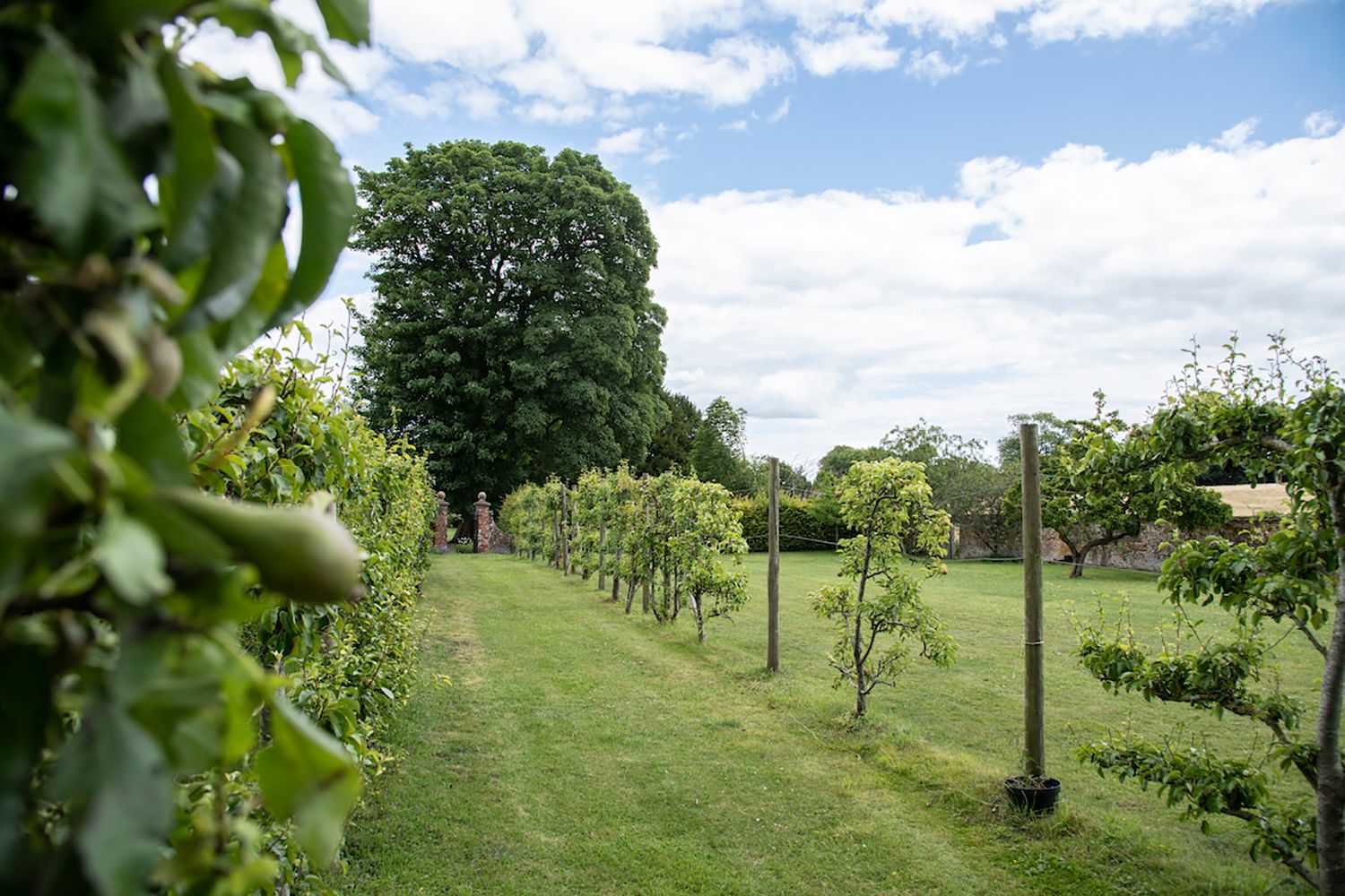 Castleman, Blandford Forum - Good Hotel Guide expert review