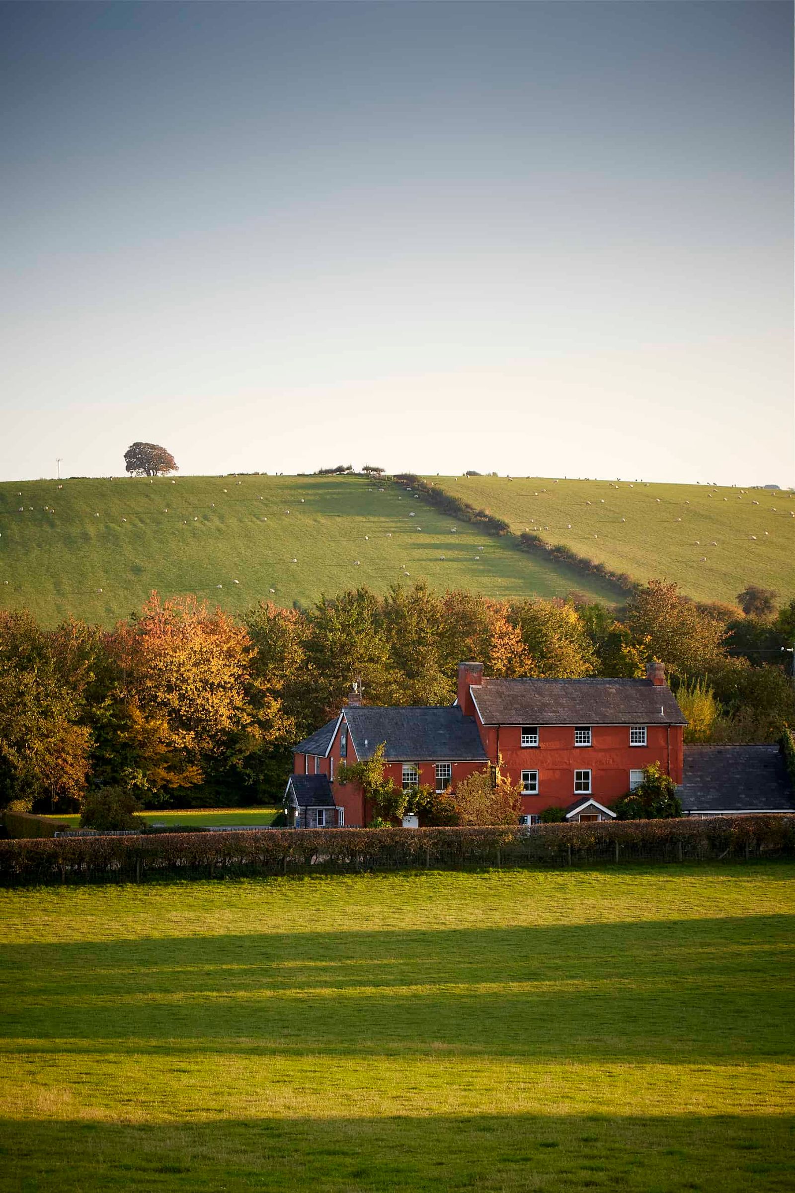 The Felin Fach Griffin, Brecon - Good Hotel Guide expert review