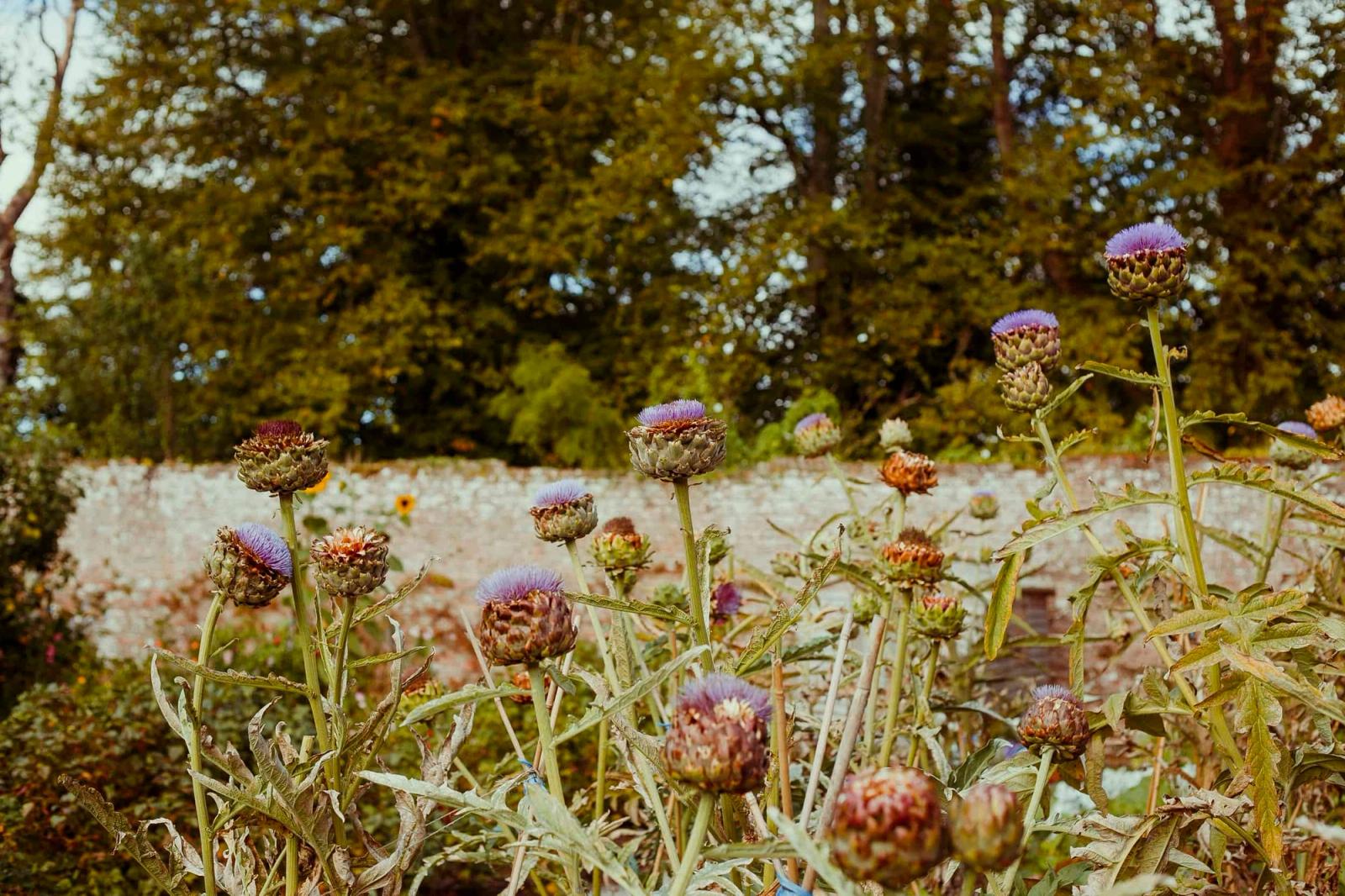 Rathmullan House, Rathmullan - Good Hotel Guide expert review