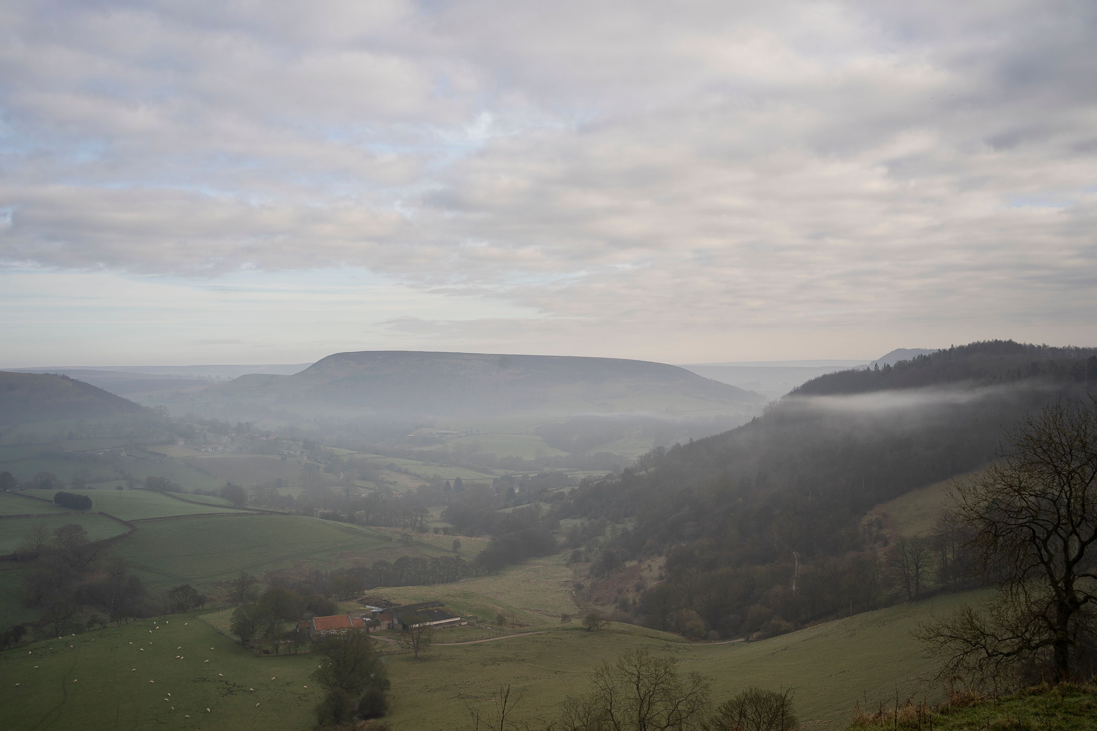 The Owl, Hawnby - Good Hotel Guide expert review