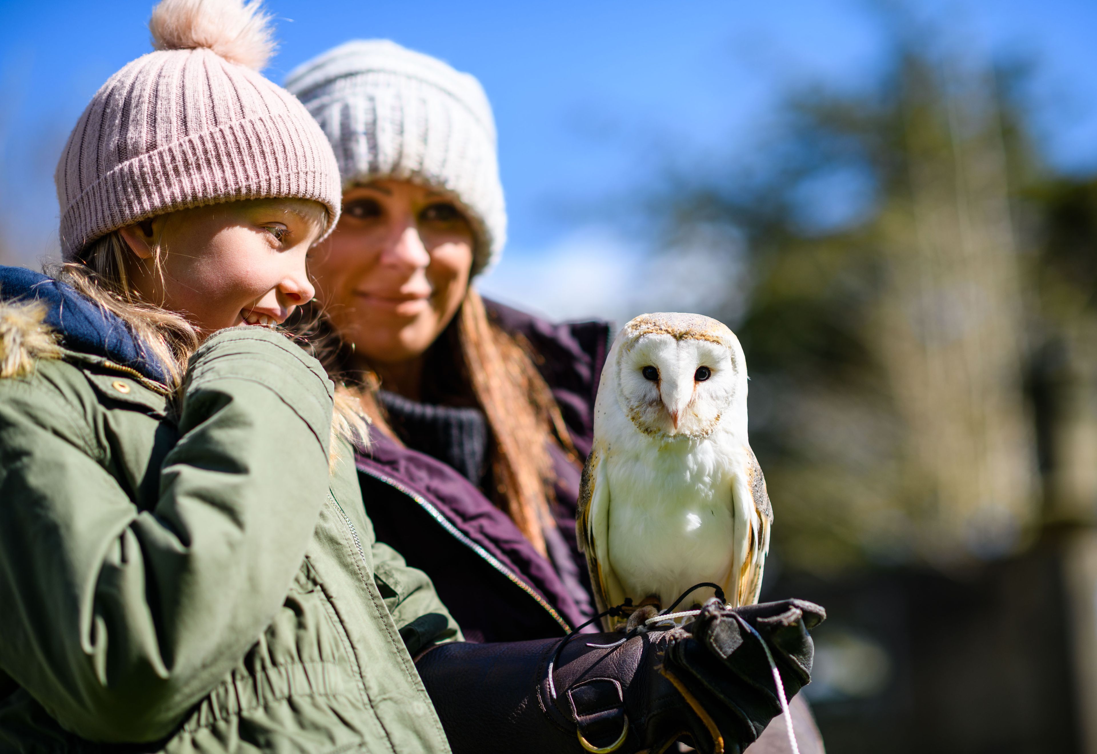 10 hotels for bird watching - Good Hotel Guide