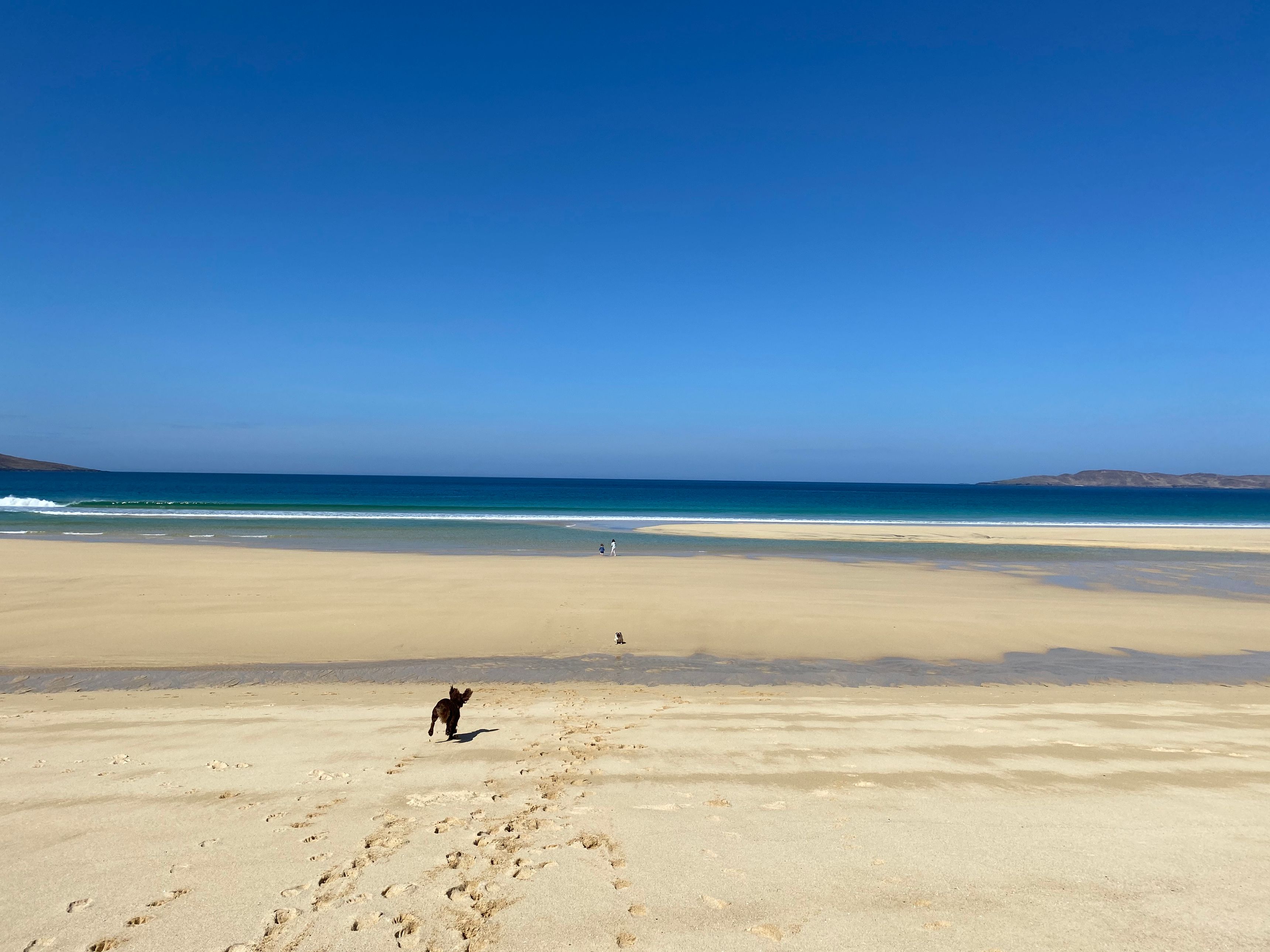 Scarista House, Isle of Harris - Good Hotel Guide expert review