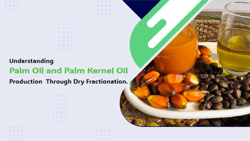 A Comprehensive Guide to the Palm Oil Production Process.